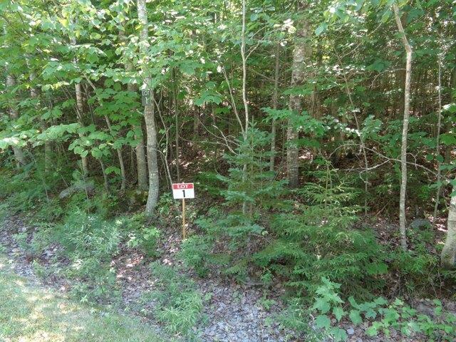 Bailey Mountain Rd Lot,franklin, Plot For Sale