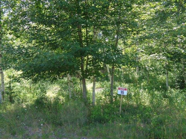 Bailey Mountain Rd Lot,franklin, Plot For Sale