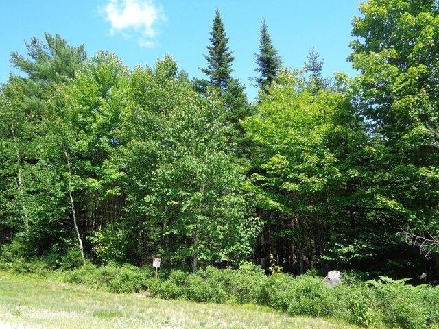Bailey Mountain Rd Lot,franklin, Plot For Sale