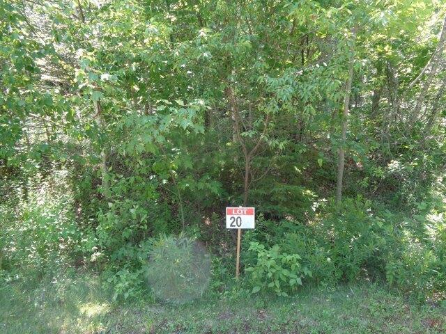 Bailey Mountain Rd Lot, Franklin, Plot For Sale