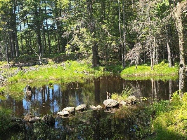 Baine Lot Map Lot Rd Lot And Map,alstead, Plot For Sale