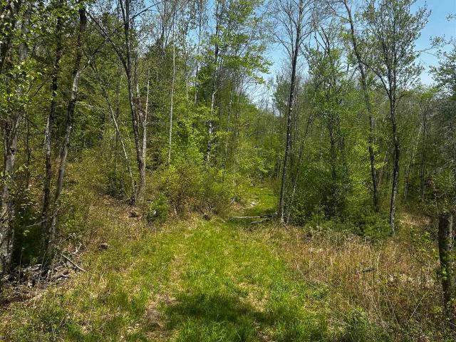Baine Road # Map 47 Lot 1 & Map 11 Lot 2