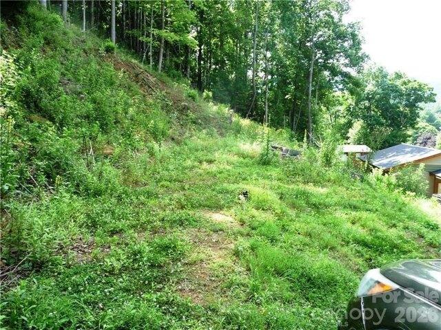 Bairds Creek Rd, Vilas, Plot For Sale
