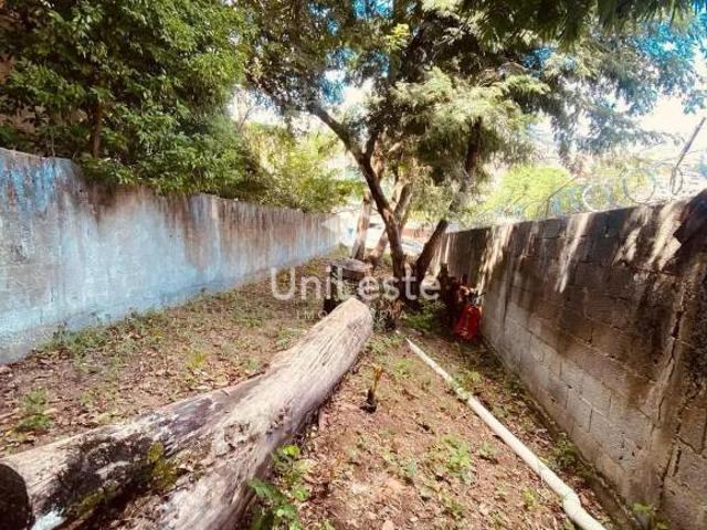LOTE Casa Branca