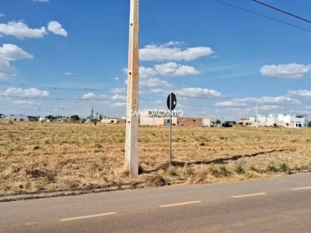Bairro cidade nova