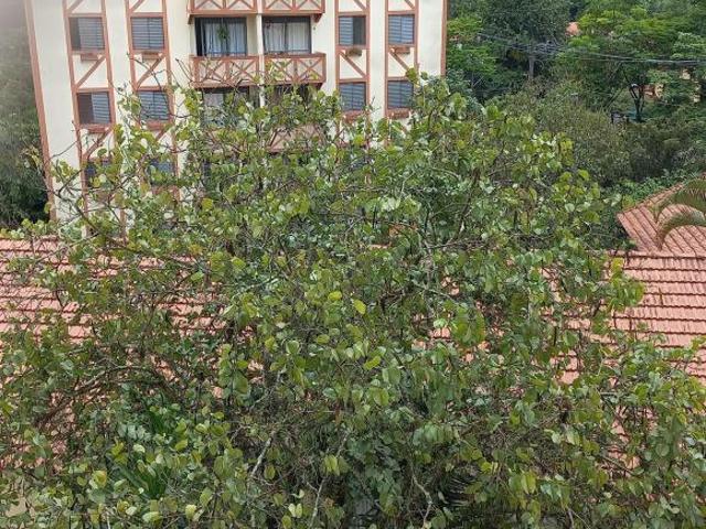 Bairro Morumbi Sul condomínio.altos, apto de frente reformado