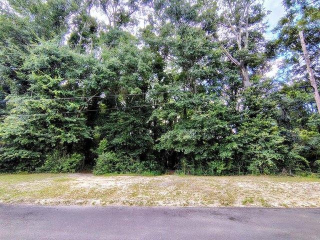 Baker Ave, Geneva, AL 36340