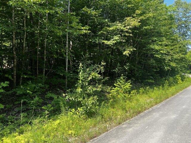 Baker Ridge Rd Lot, Danforth, Plot For Sale
