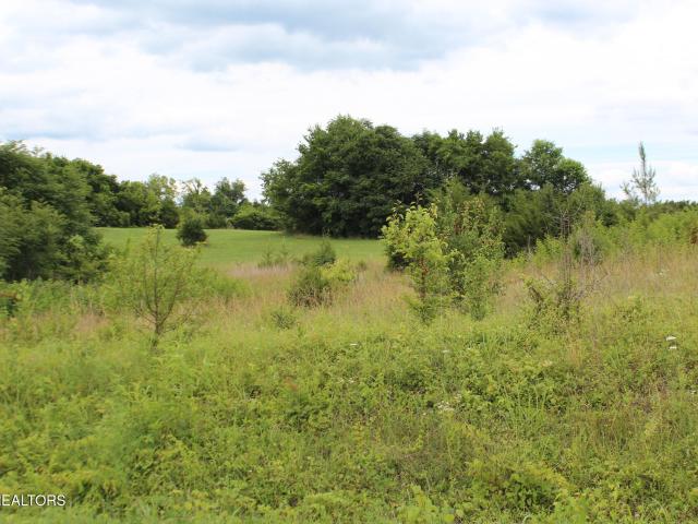 Baker Springs Rd, White Pine, TN 37890