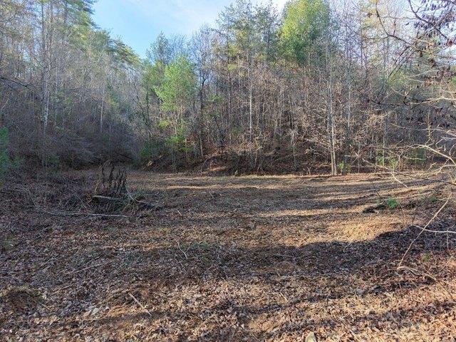 Bakers Creek Rd, Old Fort, TN 37362