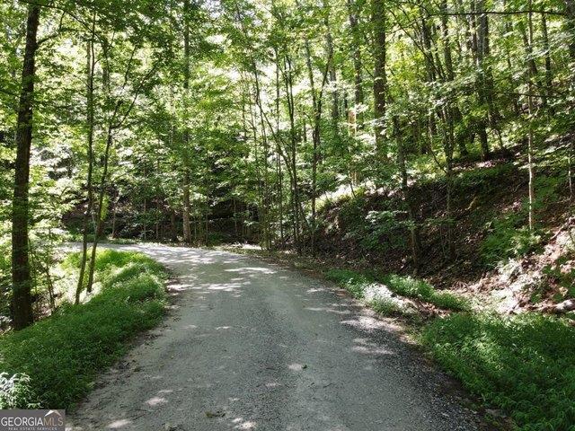 Bald Eagle Path, Cleveland, GA 30528