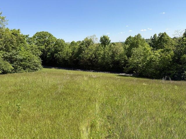 Bald Hl and Richie Rd, Carlisle, KY 40311