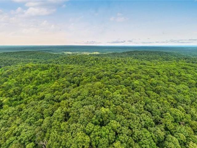 Bald Knob Stiversville Rd, Portland, OH 45770