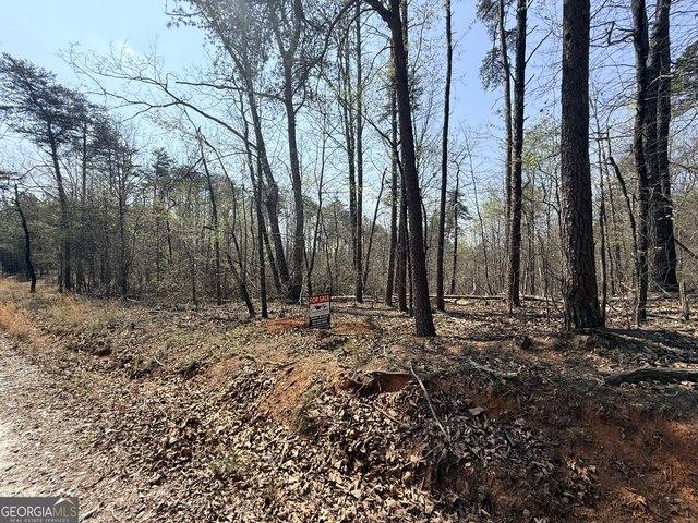 Baldwin Heights Rd Lot 202, Baldwin, GA 30511