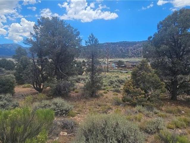 Baldwin Lake Rd, Big Bear City, CA 92314