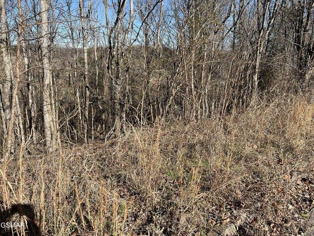 Baldwin View Dr Lot 2, New Market, TN 37820