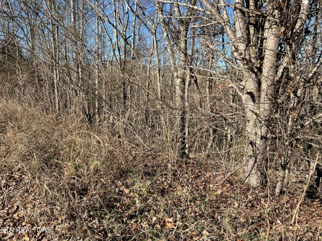 Baldwin View Drive, New Market, TN 37820