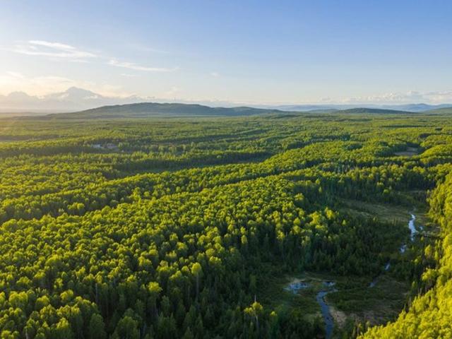 Baldy Arpk Lk Lot 11, Talkeetna, AK 99676