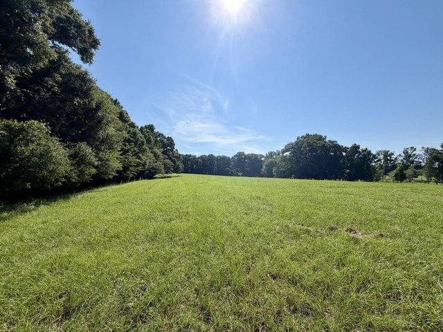 Ballard Rd, Rutledge, AL 36071