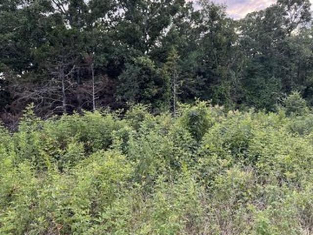 Ballard Rd, Vilonia, AR 72173