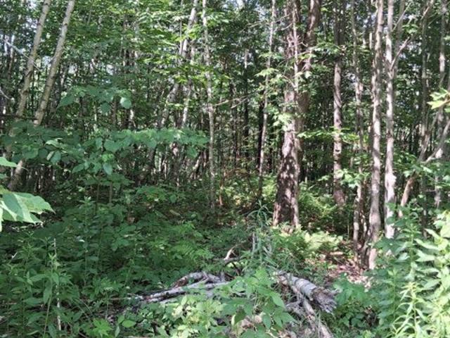 Ballground Rd Lot,westfield, Plot For Sale