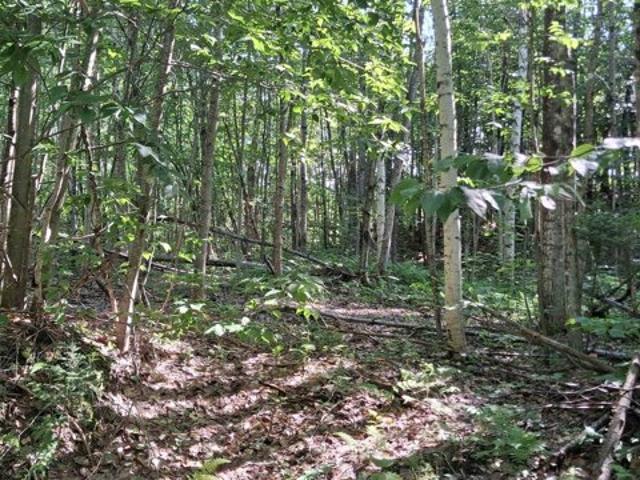 Ballground Rd Lot,westfield, Plot For Sale