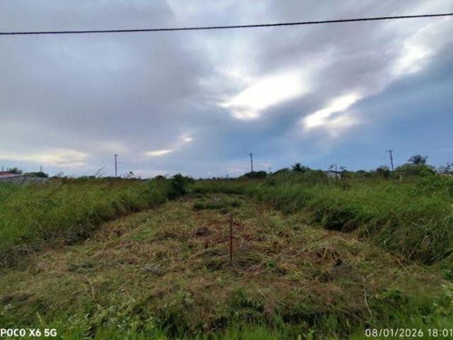 Balneário Marilena, Terreno de 250 m² praticamente plano, Ilha comprida venha morar no paraíso