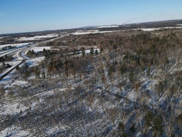 Balsam fir road