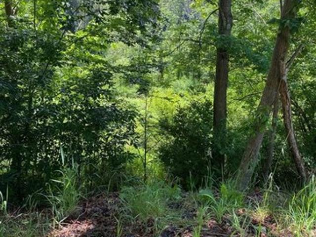 Balsam Rd, Wellsboro, PA 16901
