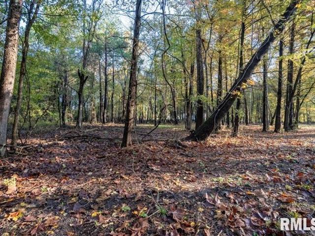 Baptist Camp Rd, Carterville, IL 62918