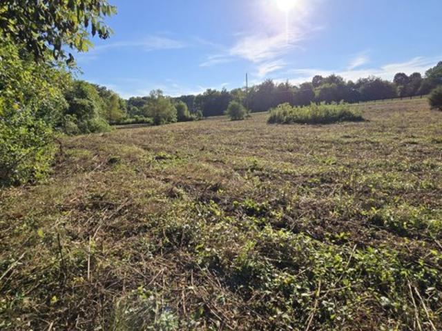Baptist Church Rd, Culleoka, TN 38451