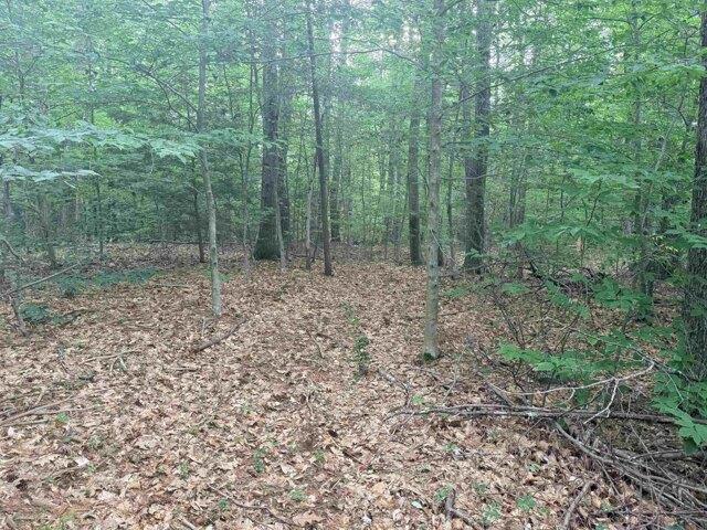 Baptist Hill Rd, Canterbury, Plot For Sale