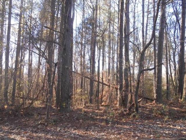 Bartlett Cir, Bowdon, GA 30108