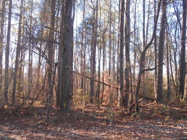 Bartlett Cir, Bowdon, GA 30108