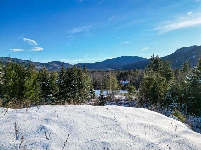 Bartlett NH 03812 102064003
