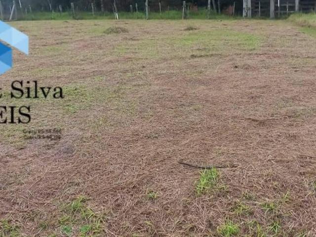 Barbadinha Terreno a 200 metros do Asfalto d a Ambev