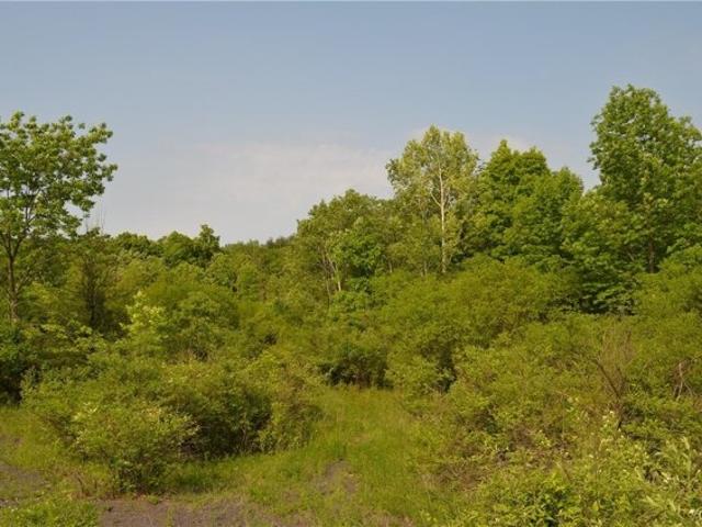 Barent Winne Rd, Selkirk, Plot For Sale