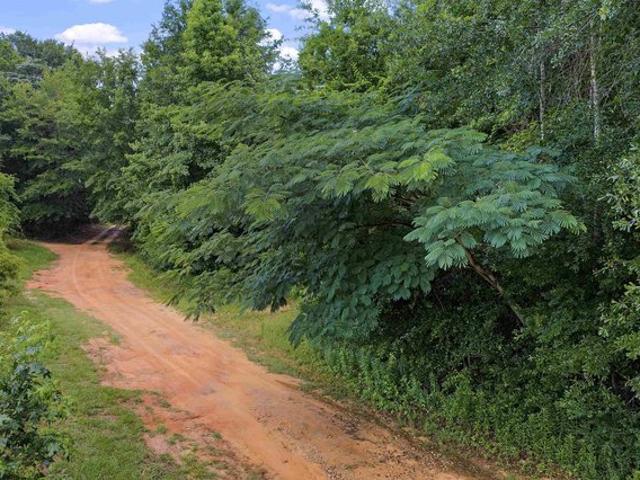 Baretta Rd, Gladewater, TX 75647