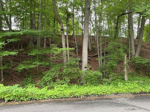 Bark Haul Rd Lot,longmeadow, Plot For Sale
