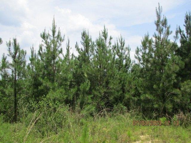 Barlow Rd, Millry, AL 36558