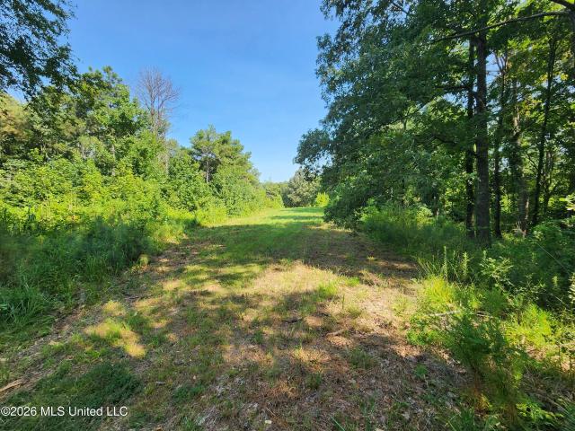 Barnacre Road, Batesville, MS 38606