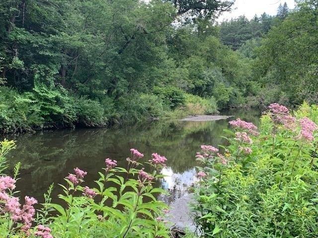 Barnard Rd, Woodstock, Plot For Sale