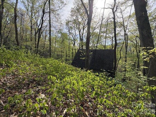 Barnardsville NC 28709 103601580