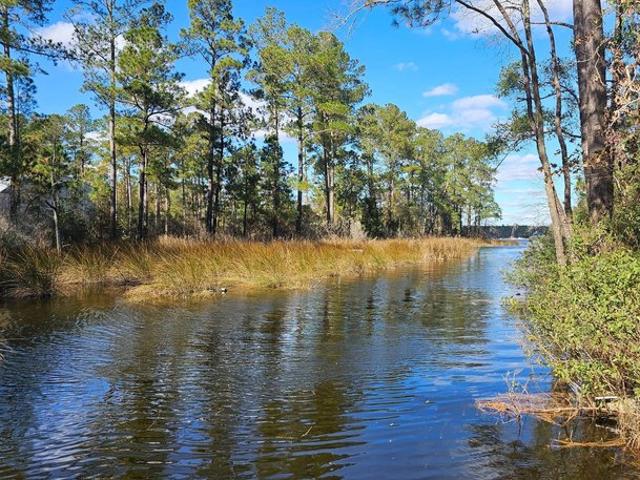 Barnes Foster Loop Rd, Belhaven, NC 27810