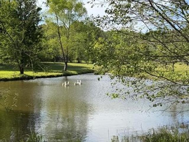 Barnett Rd, Murphy, NC 28906