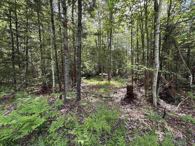 Barnstead NH 03225 104654840