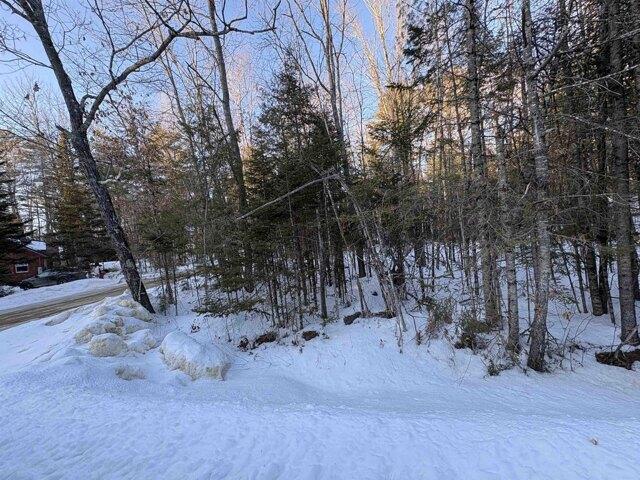 Barnstead NH 03225 102633361