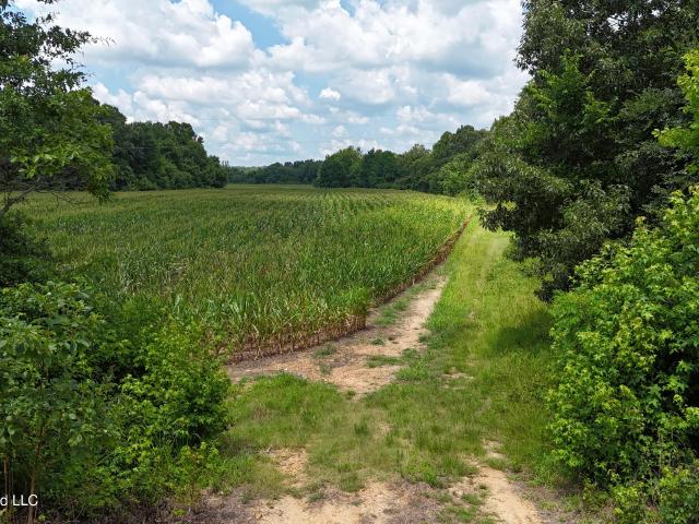 Barr Road, Coldwater, MS 38618