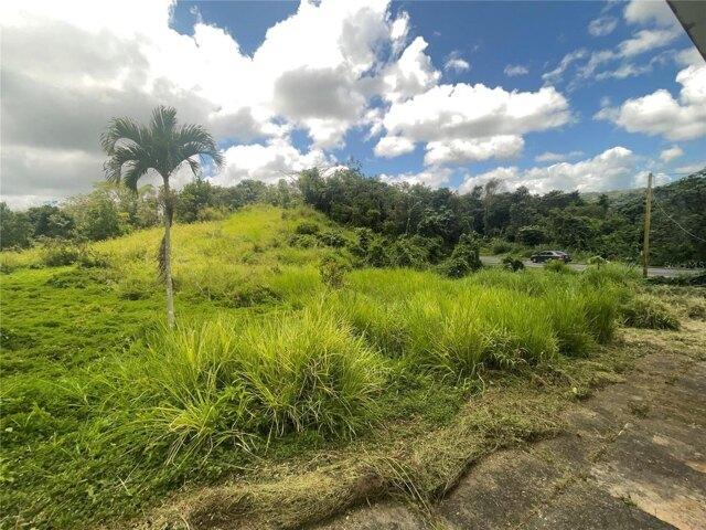 Barranquitas, Home For Sale