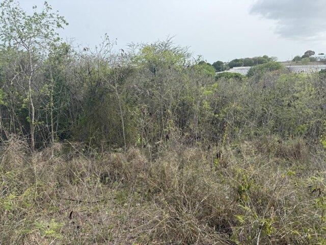 Barren Spot Qu, Saint Croix, Plot For Sale